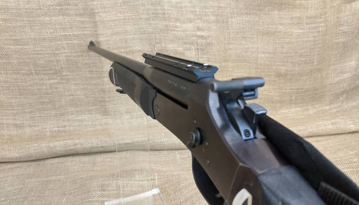 GunSpot | Rossi single shot .223