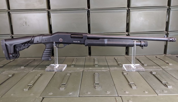 GunSpot | Chiappa 300 12 ga