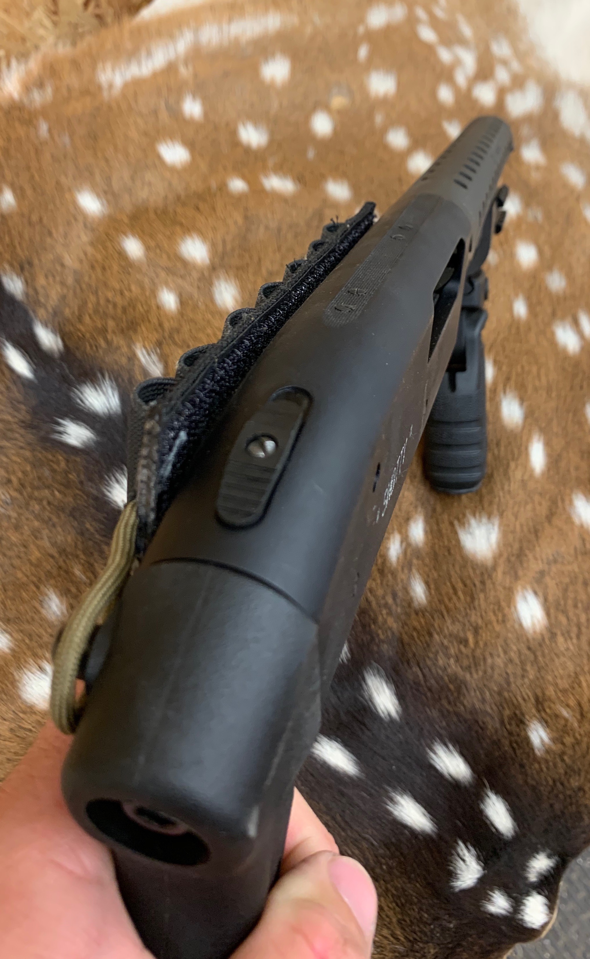 GunSpot | Tac 2 Shotty 20 Gauge AOW