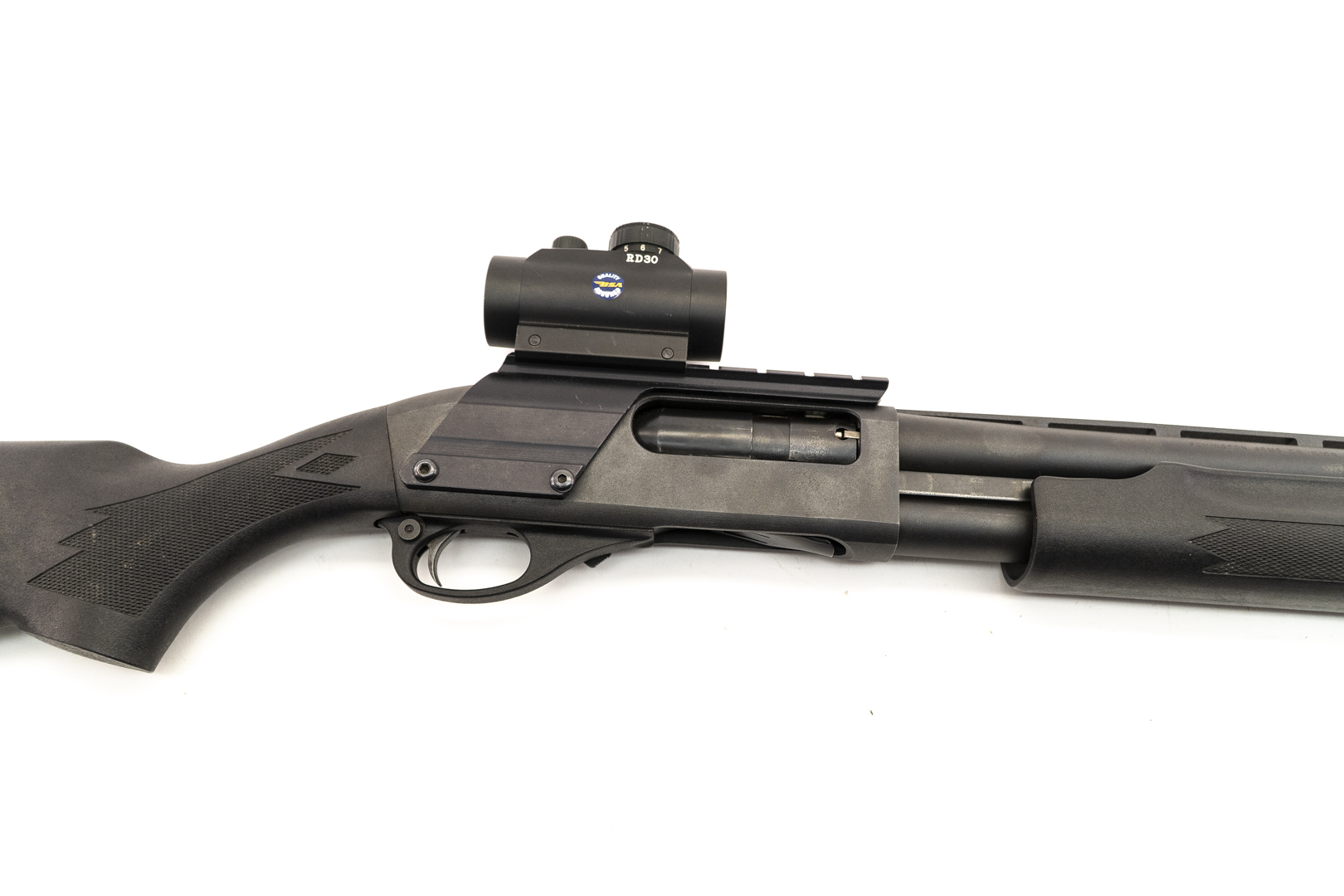 Sections & Categories