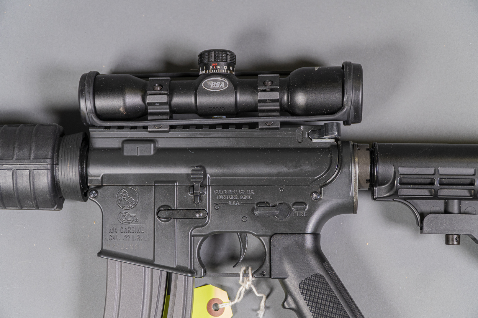 Sections & Categories