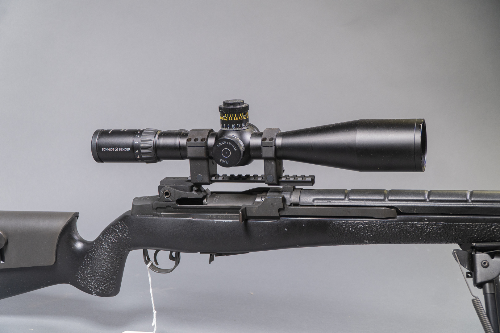 Sections & Categories