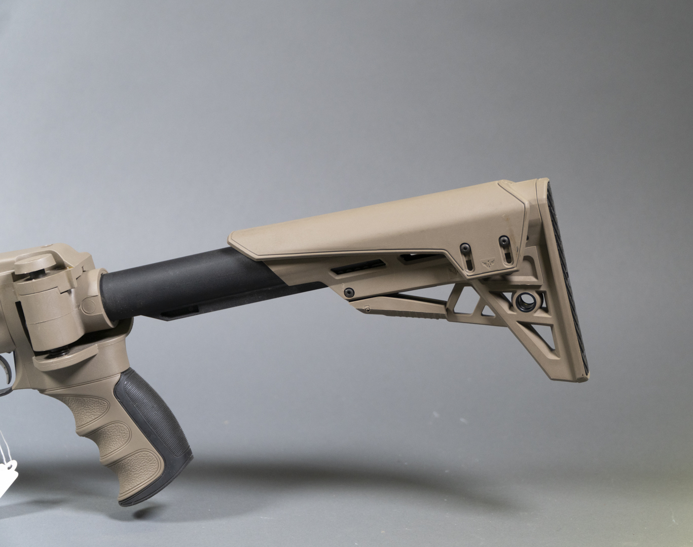 Sections & Categories