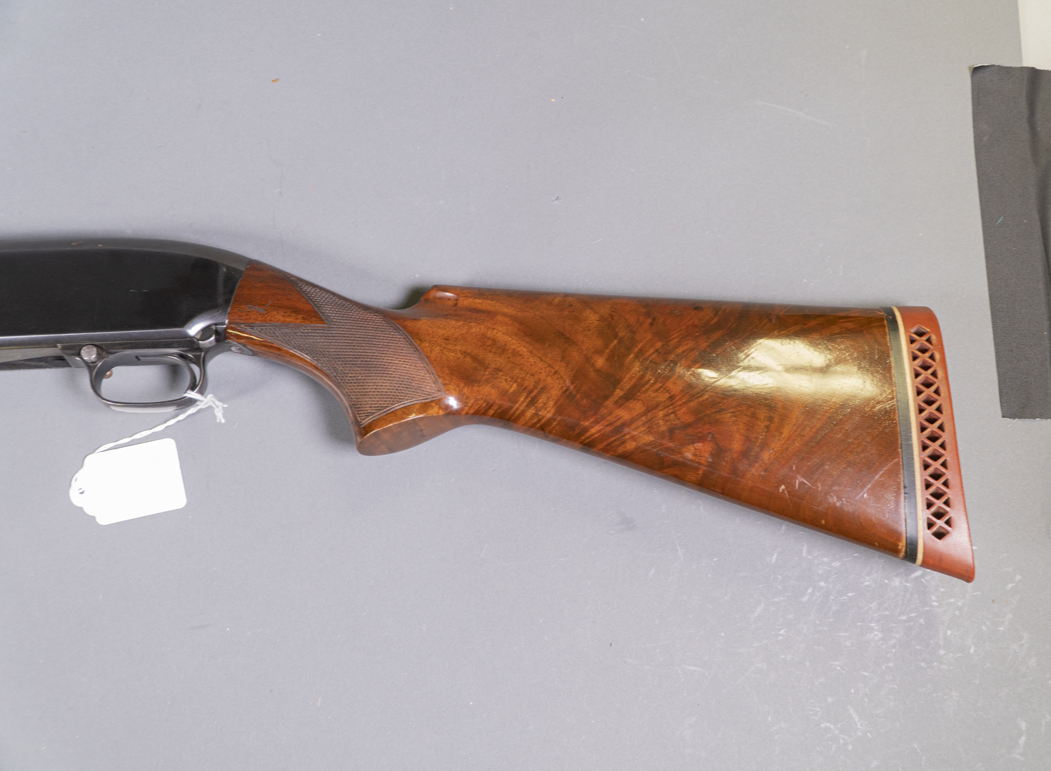 Sections & Categories