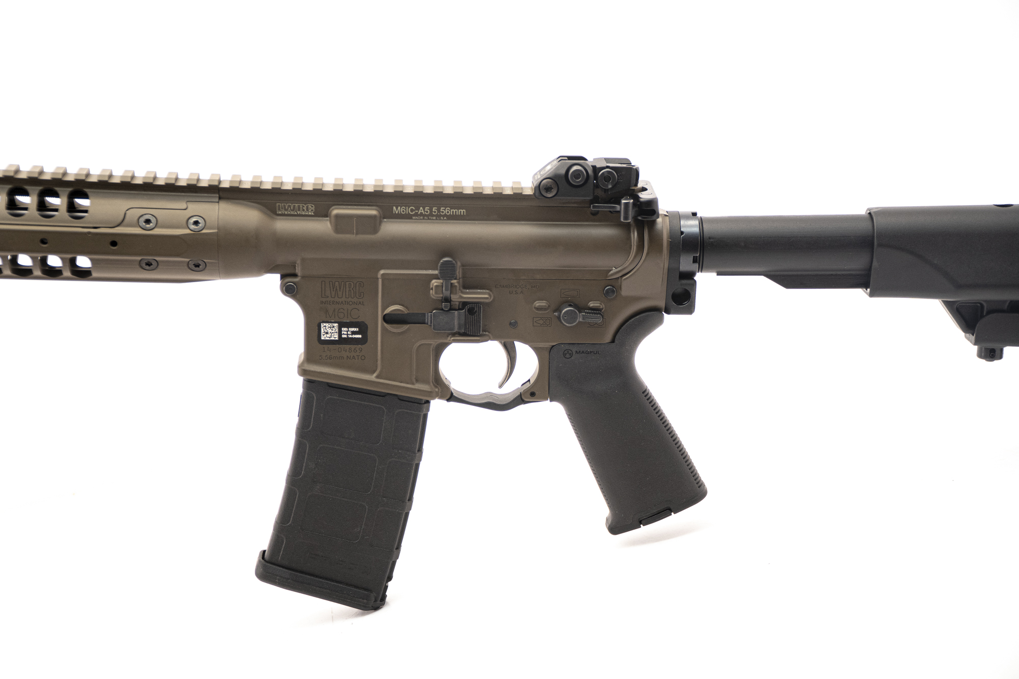 Sections & Categories