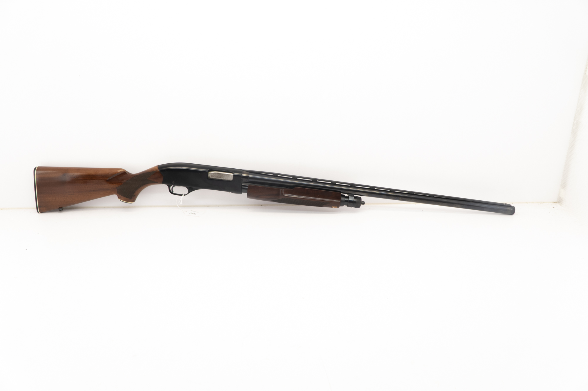 Sections & Categories