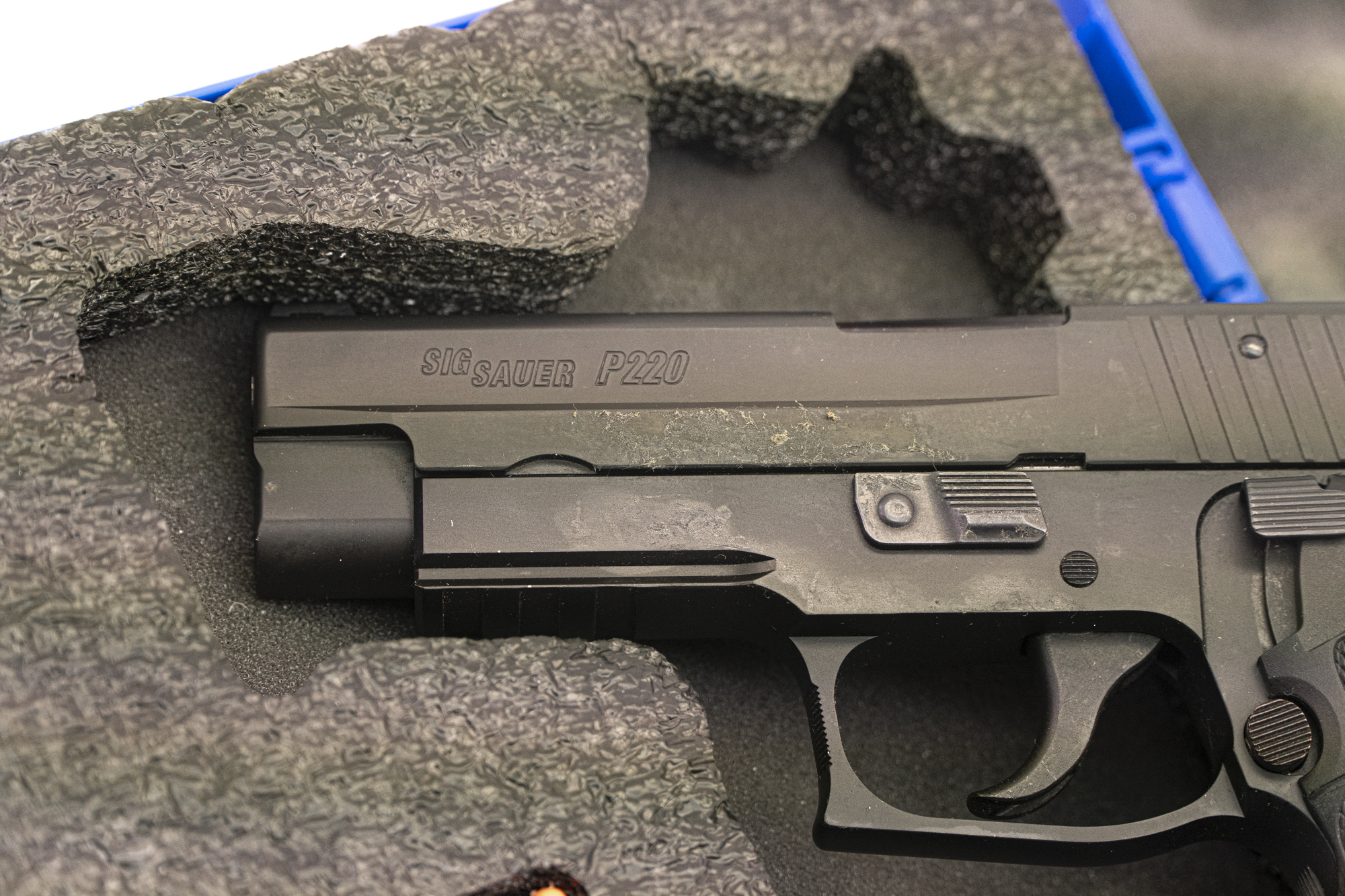 Sections & Categories