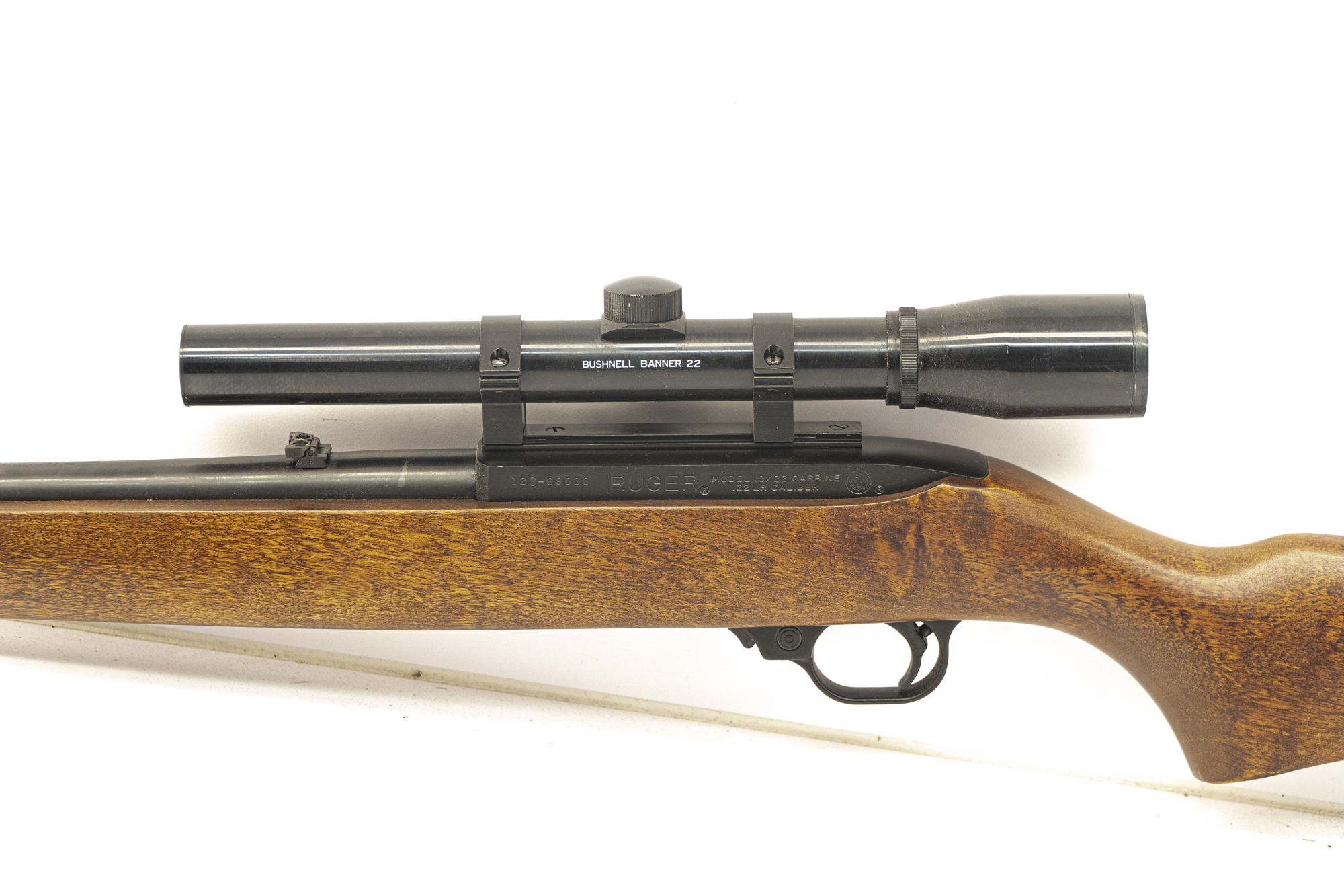 Sections & Categories