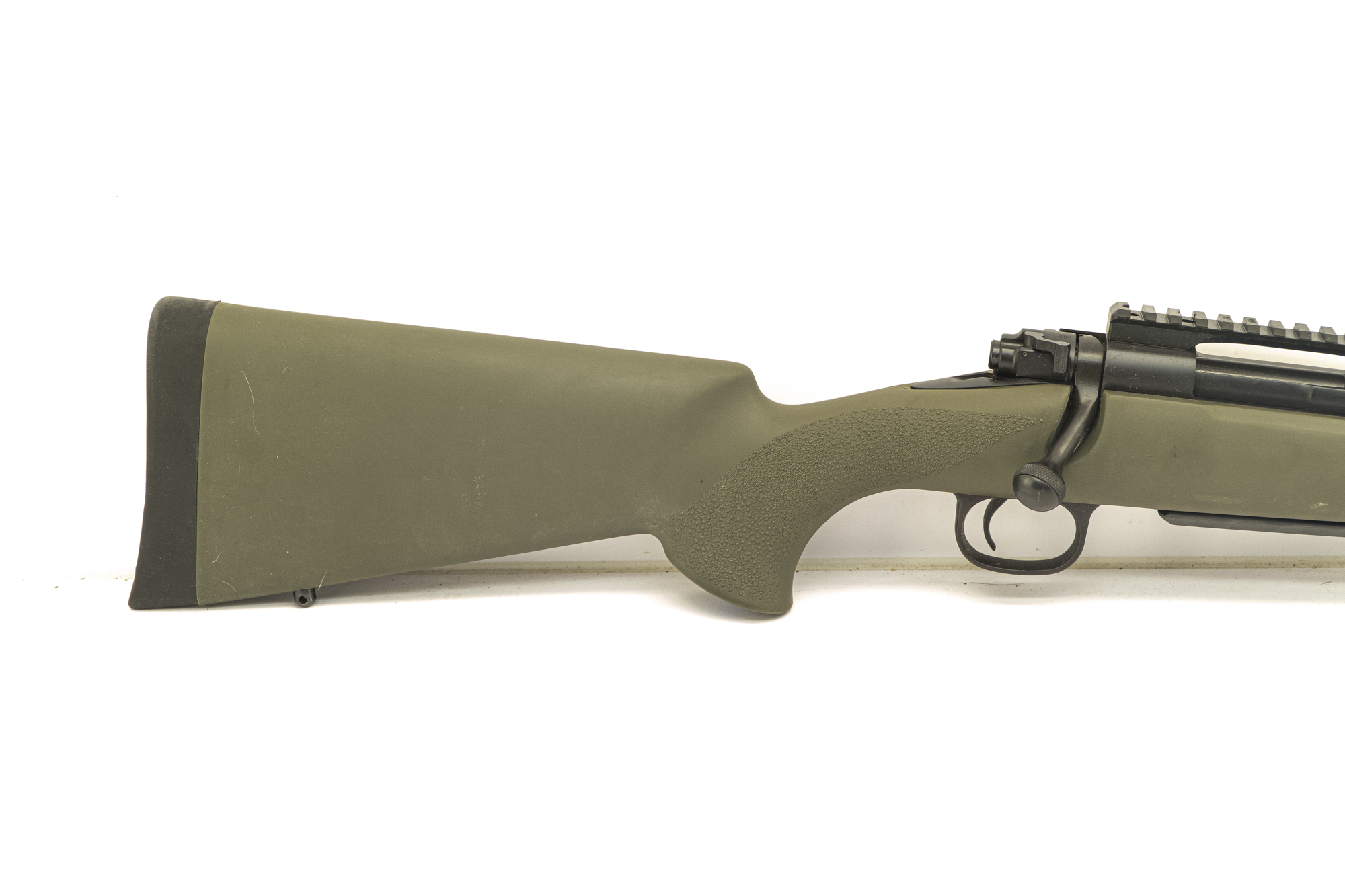 Sections & Categories