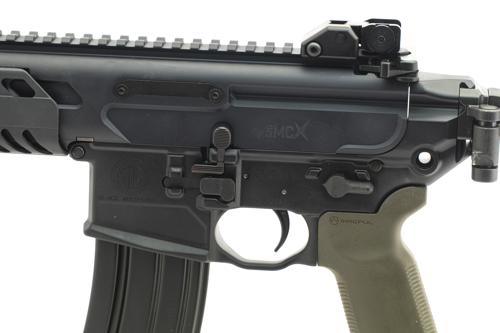 Sections & Categories